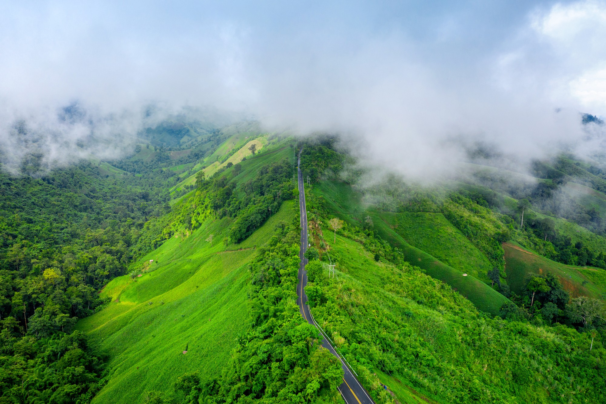 Travel Longitude - Tour & Travel Agency